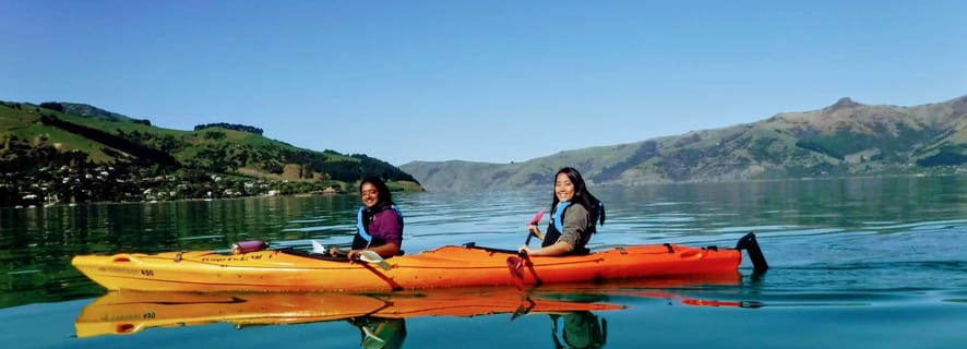 The BEST Akaroa Tours and Things to Do in 2022 - FREE Cancellation ...