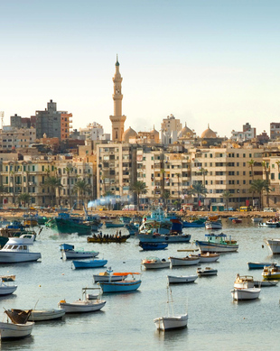 The BEST Red Sea Tours and Things to Do in 2024 - FREE Cancellation ...