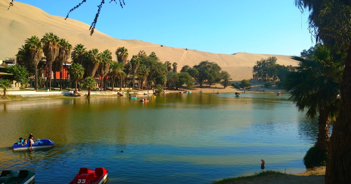 From Lima: Ica Winery and Huacachina Oasis Tour | GetYourGuide