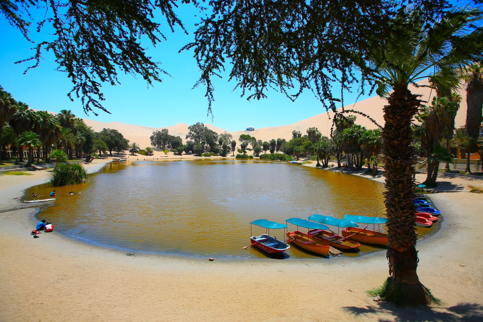 From Lima: Huacachina Oasis Tour, Winery & Desert Sunset | GetYourGuide