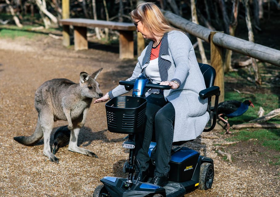 Pearcedale: Moonlit Sanctuary Conservation Park Entry Ticket | GetYourGuide