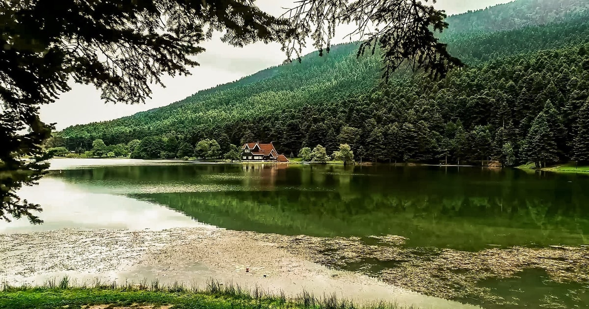 Istanbul: Full-Day Sapanca Lake and Masukiye Tour with Lunch | GetYourGuide