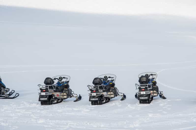 Rovaniemi: Family-friendly Snowmobile & Arctic Animals Tour | GetYourGuide