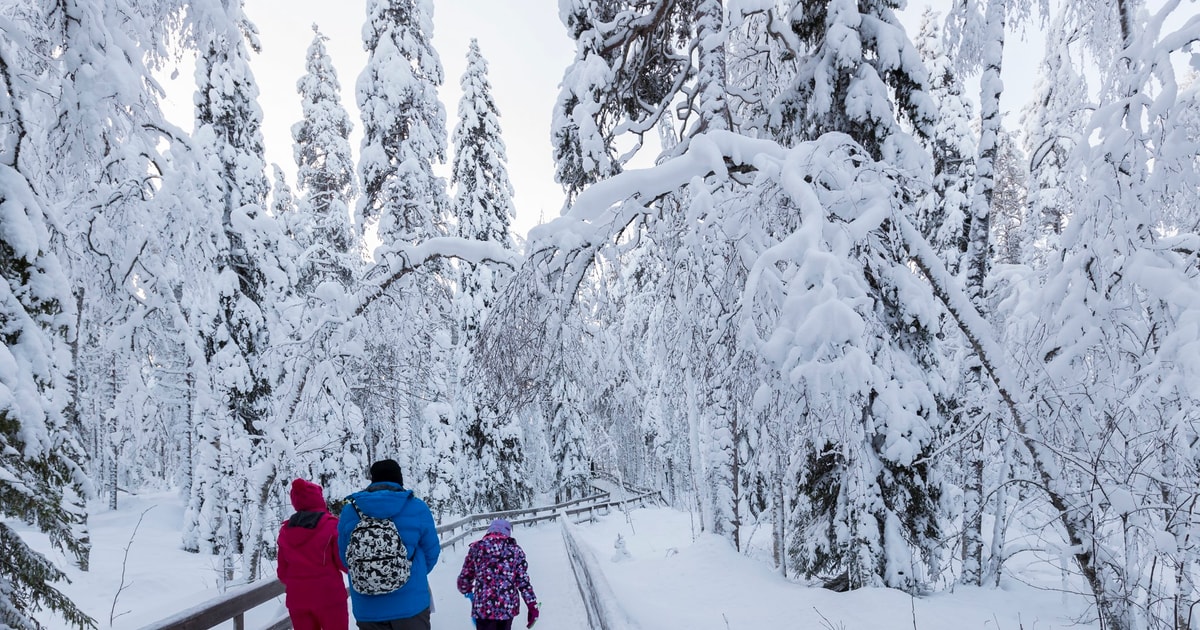 Ranua Wildlife Park Day: Visit the Arctic Animals | GetYourGuide