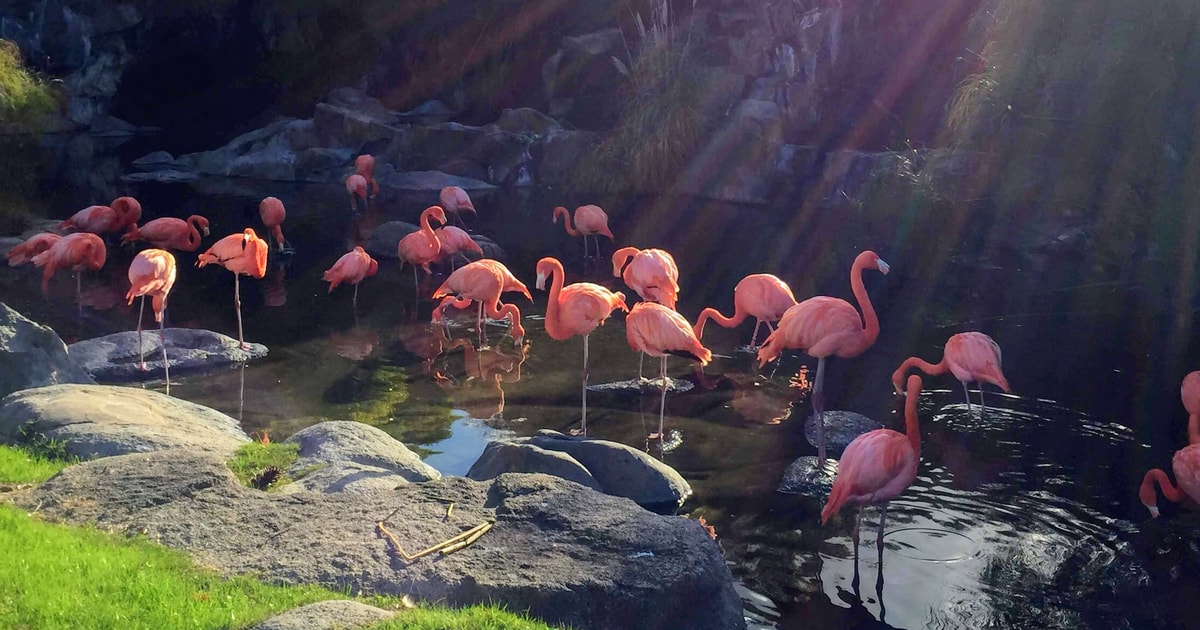 Buenos Aires: Bioparque Temaiken with Transfers | GetYourGuide