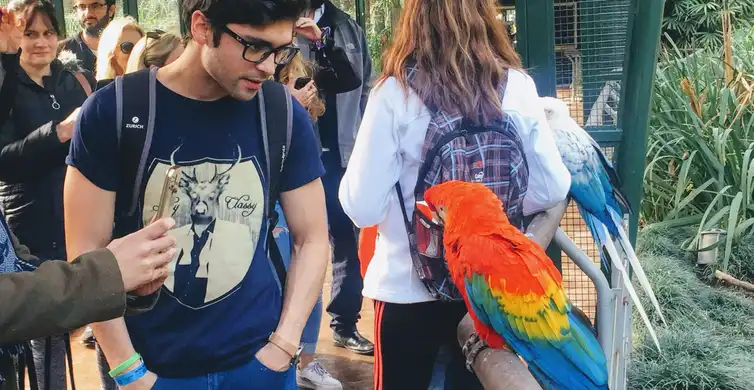 Temaikèn, Buenos Aires - Book Tickets & Tours | GetYourGuide