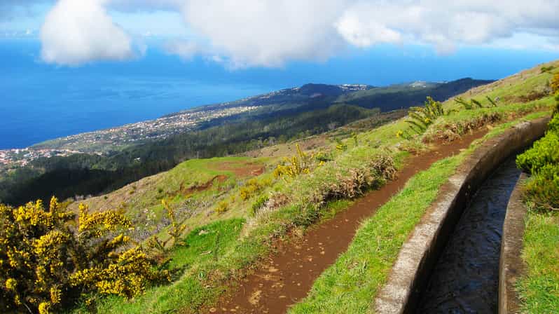 From Funchal: Madeira Lakes Levada Guided Hike | GetYourGuide