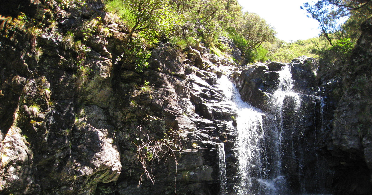 From Funchal: Madeira Lakes Levada Guided Hike | GetYourGuide