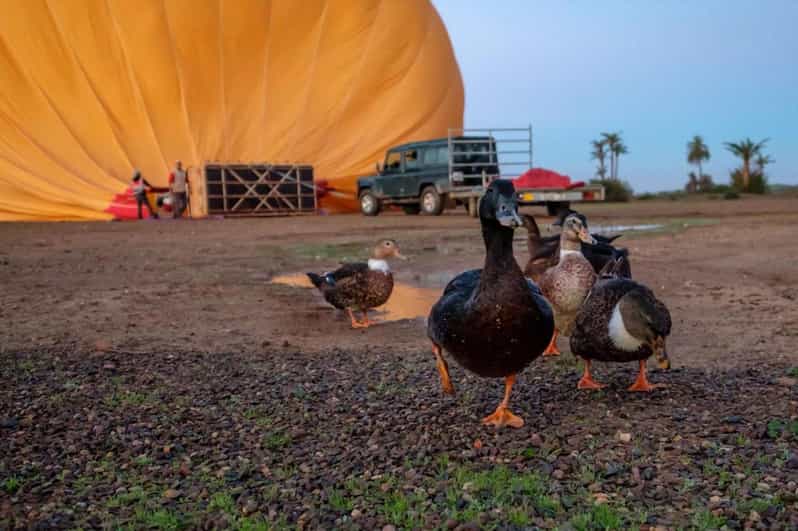 Agadir: Plimbare cu balonul cu aer cald | GetYourGuide