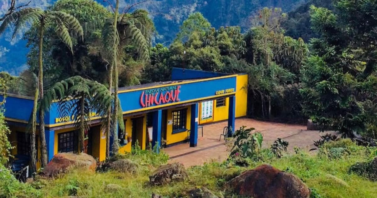 Bogota: Explora el Bosque y avista aves en Parque Natural Chicaque ...