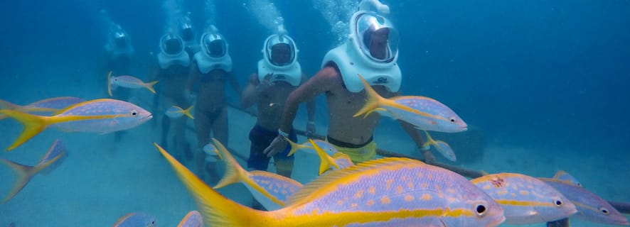 The BEST Santa Cruz, Aruba Tours and Things to Do in 2022 - FREE ...