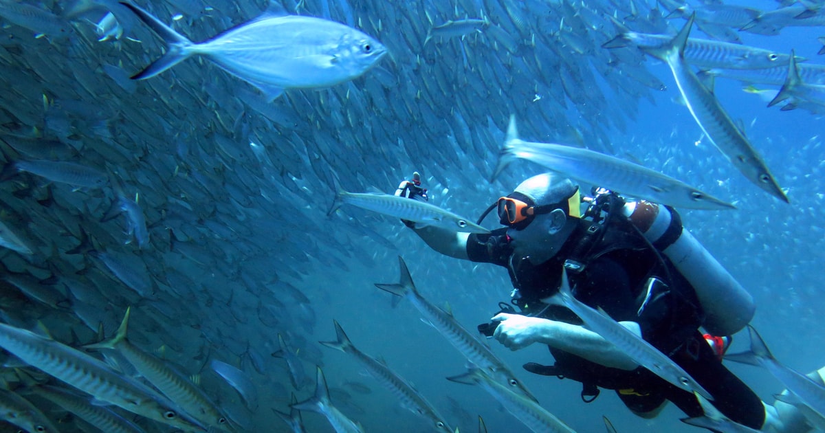 Koh Kood: Discover Scuba Diving for Beginners with 2 Dives | GetYourGuide