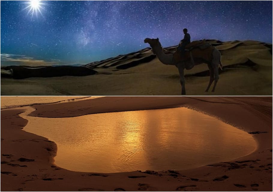 Doha Night Desert Safari Stargazing And Camel Ride | GetYourGuide