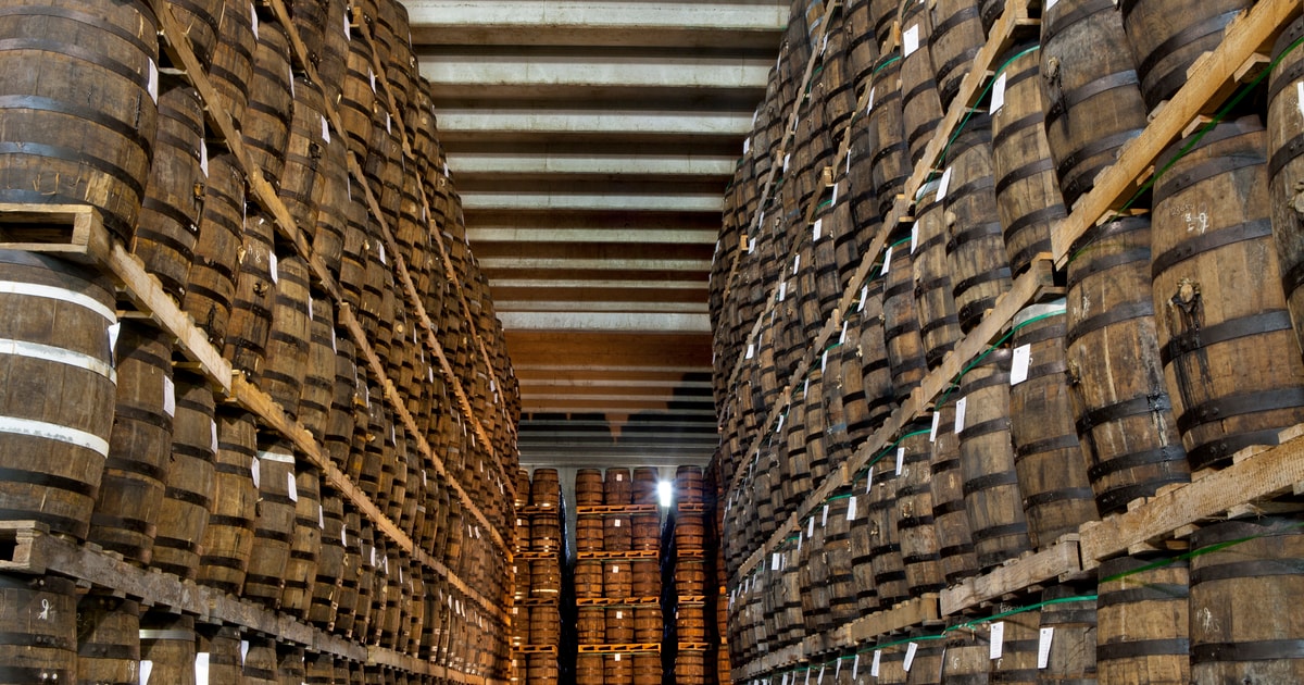 San Pedro De Macoris: Ron Barcerló Rum Factory Tour | GetYourGuide