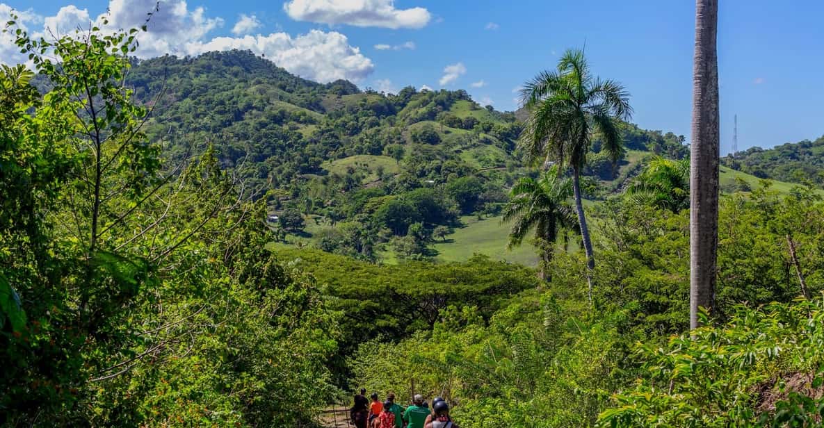 Puerto Plata: Half-Day Mountainside Horseback Riding | GetYourGuide