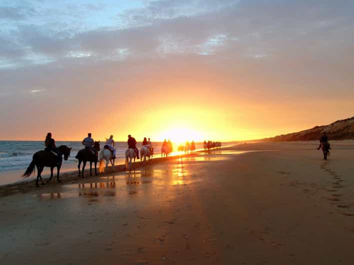 Puerto Plata: Sunset Beach Horseback Riding Tour | GetYourGuide