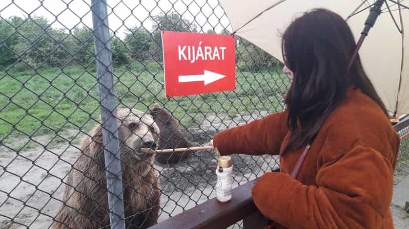 Budapest Transport And Guided Tour Of Bear And Wolf Sanctuary Getyourguide