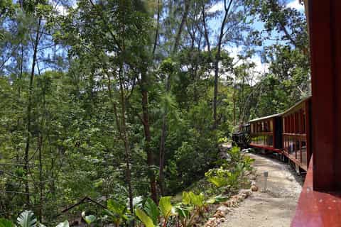The BEST Things to Do in Bridgetown - Top Activities in 2024 | GetYourGuide
