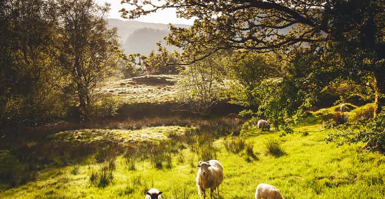 The BEST Manchester Tours and Things to Do in 2022 - FREE Cancellation ...