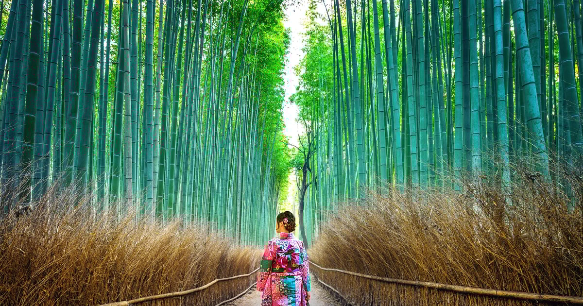 Kyoto & Nara: Private, individuelle Führung mit Hotelabholung ...