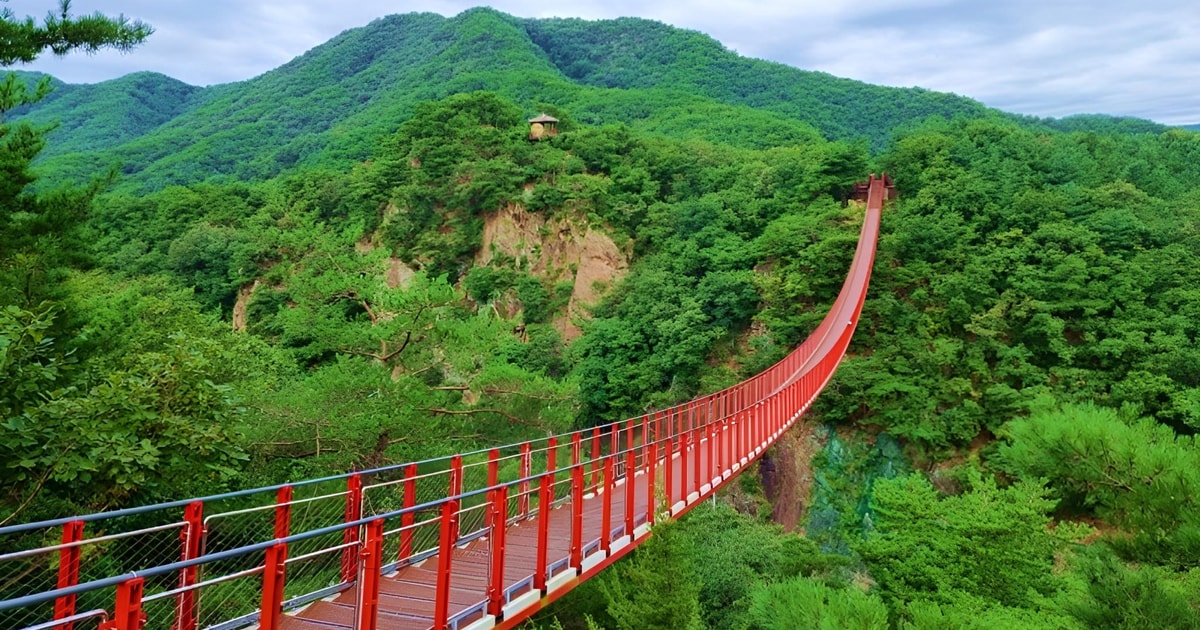 Seoul: DMZ, 3rd Tunnel and Optional Suspension Bridge Tour | GetYourGuide