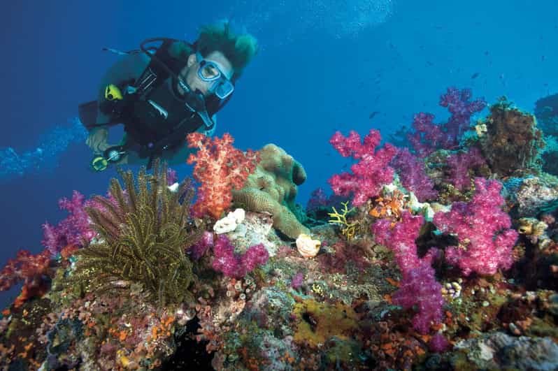 Isole di Hamata: tour con snorkeling da Marsa Alam | GetYourGuide