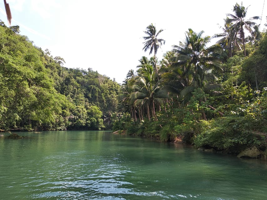 Bohol: Loboc River Buffet-Lunch Cruise with Private Transfer | GetYourGuide