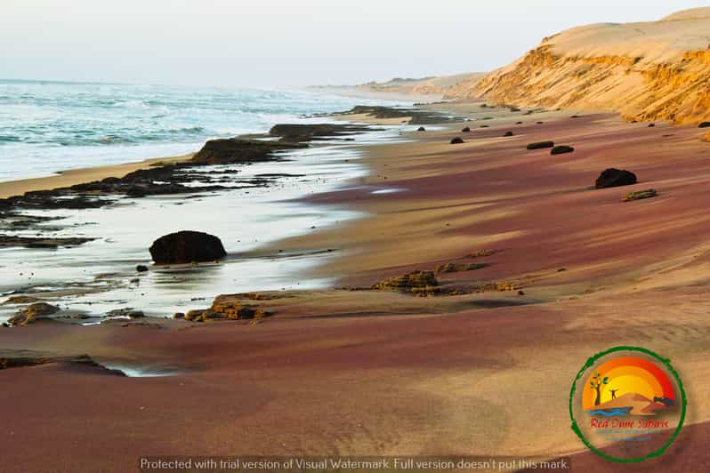 Walvis Bay: 4-Hour Namib Desert and Dunes Photography Tour | GetYourGuide