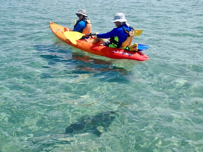 Exmouth: Half Day Turtle Kayak & Snorkel Tour | GetYourGuide