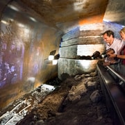 Utrecht: DOMunder Entry Ticket with Guide | GetYourGuide