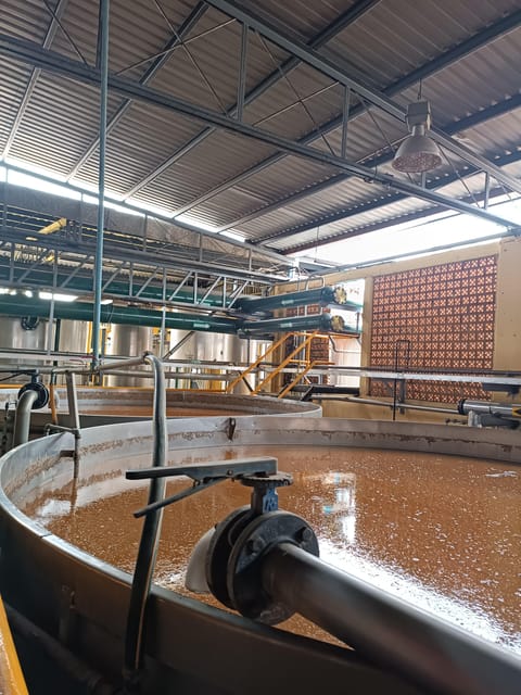 Get on Chile: know everything about tequila in "La Rienda" | GetYourGuide