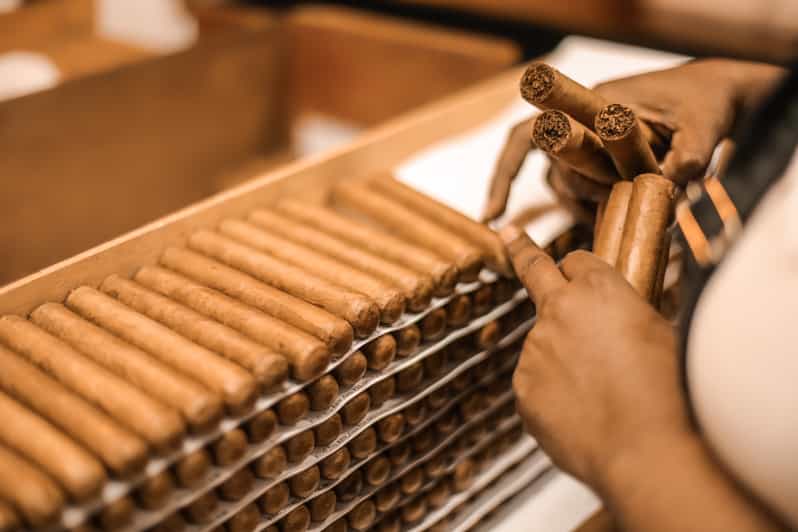 Punta Cana: Cigar Aficionado Experience and Altos De Chavon | GetYourGuide