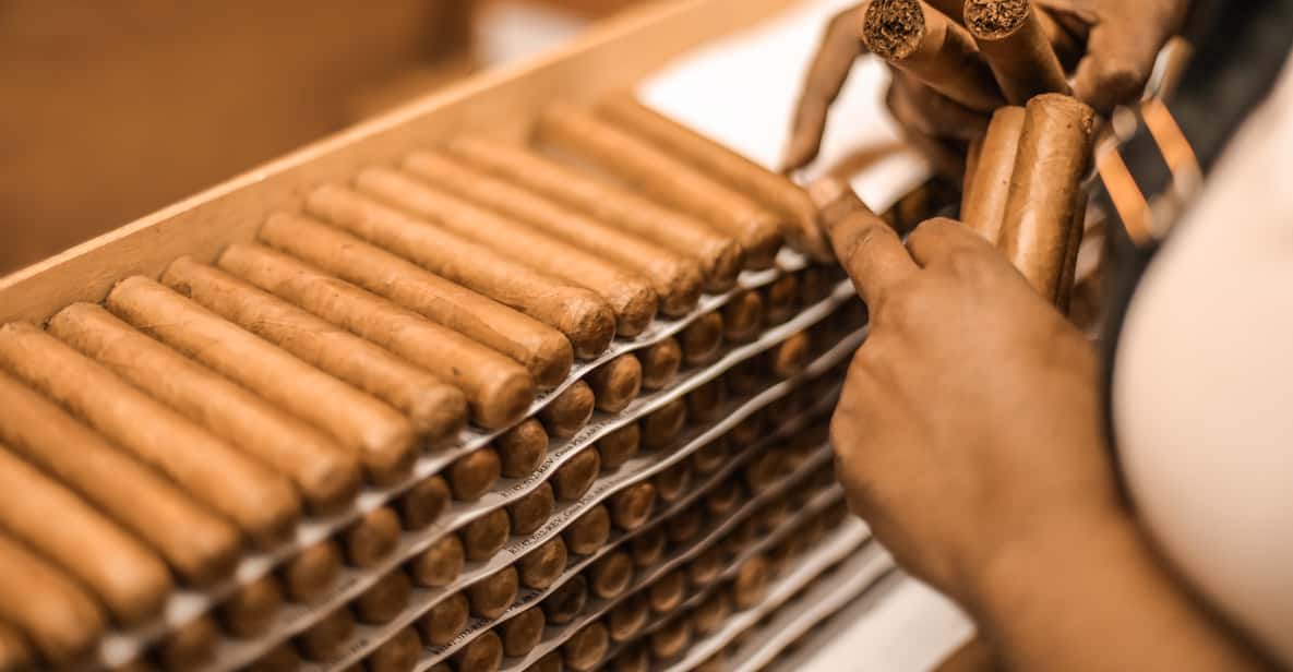 Punta Cana: Cigar Aficionado Experience and Altos De Chavon | GetYourGuide