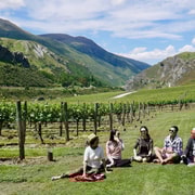 Otago Wine Trail Bespoke Small Group Tour | GetYourGuide