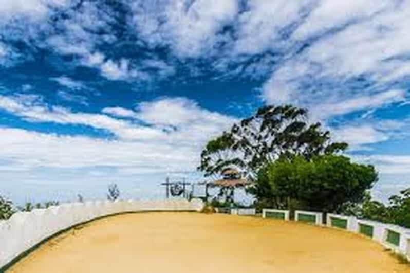 Ella: Lipton's Seat & Tea Factory & Tea Plantation Day Tour | GetYourGuide