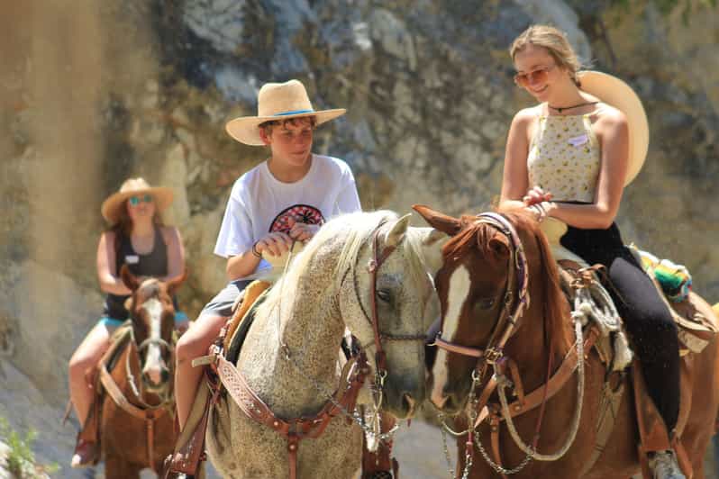 Los Cabos: The Great Fandango Horseback Riding Adventure | GetYourGuide