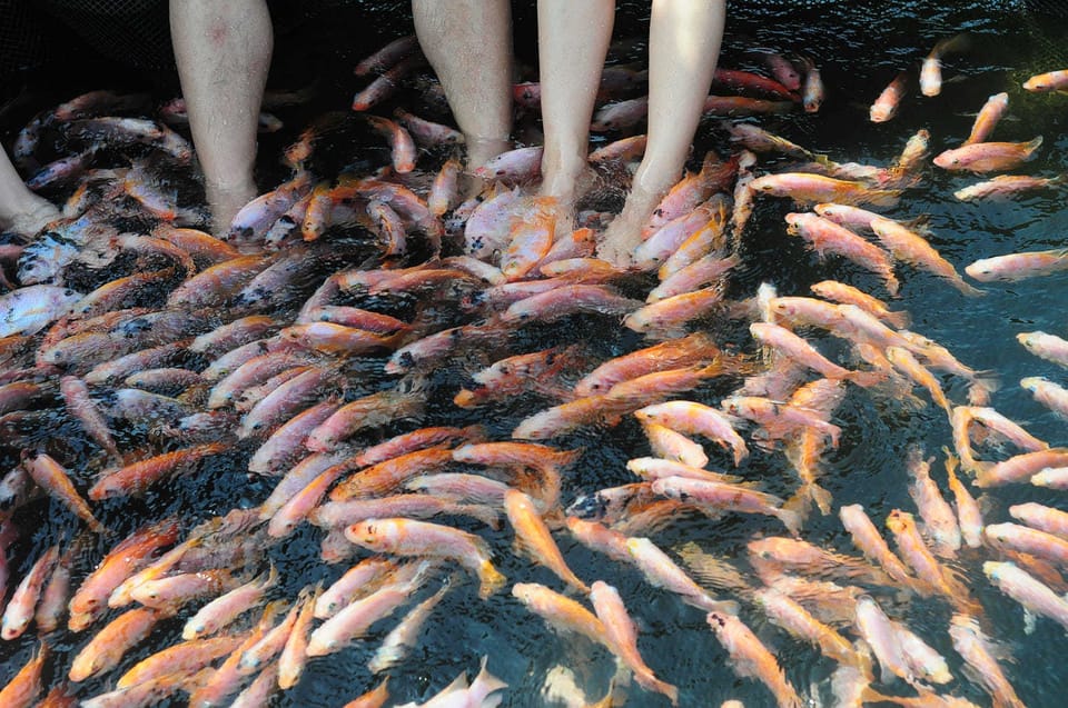 コロンボからのベントータ日帰りツアー | GetYourGuide