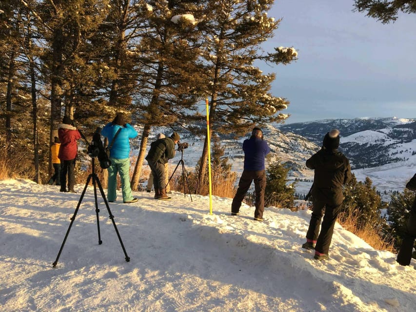Jackson: Grand Teton & Native American Petroglyph Tour | GetYourGuide