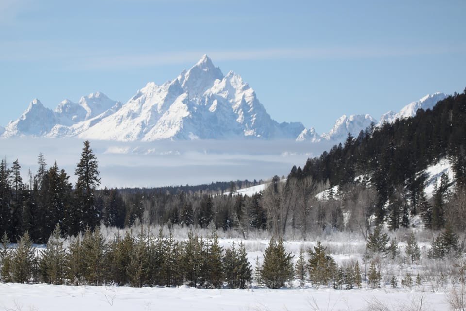 Jackson: Grand Teton & Native American Petroglyph Tour | GetYourGuide