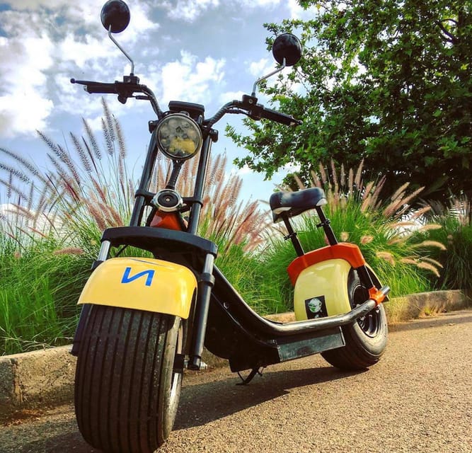 Marrakech: EcoScooter City Tour | GetYourGuide