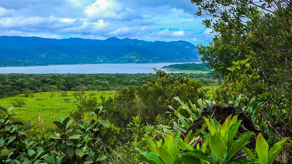 Arenal Volcano Hike | GetYourGuide