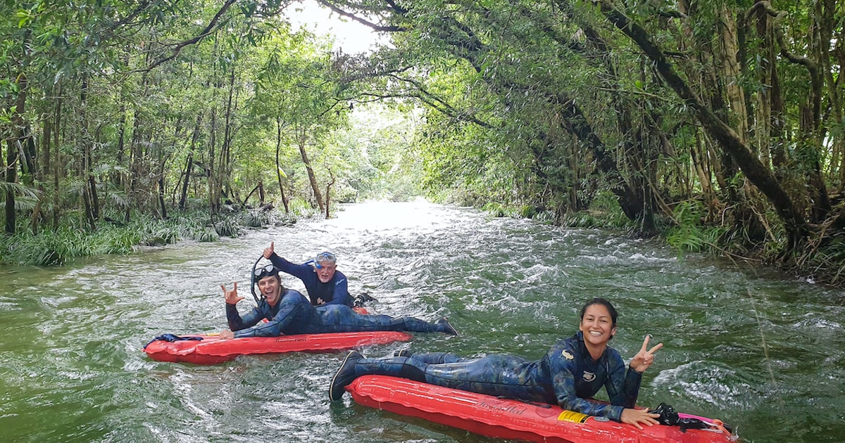 Port Douglas: River Drift Snorkelling Tour in the Daintree | GetYourGuide