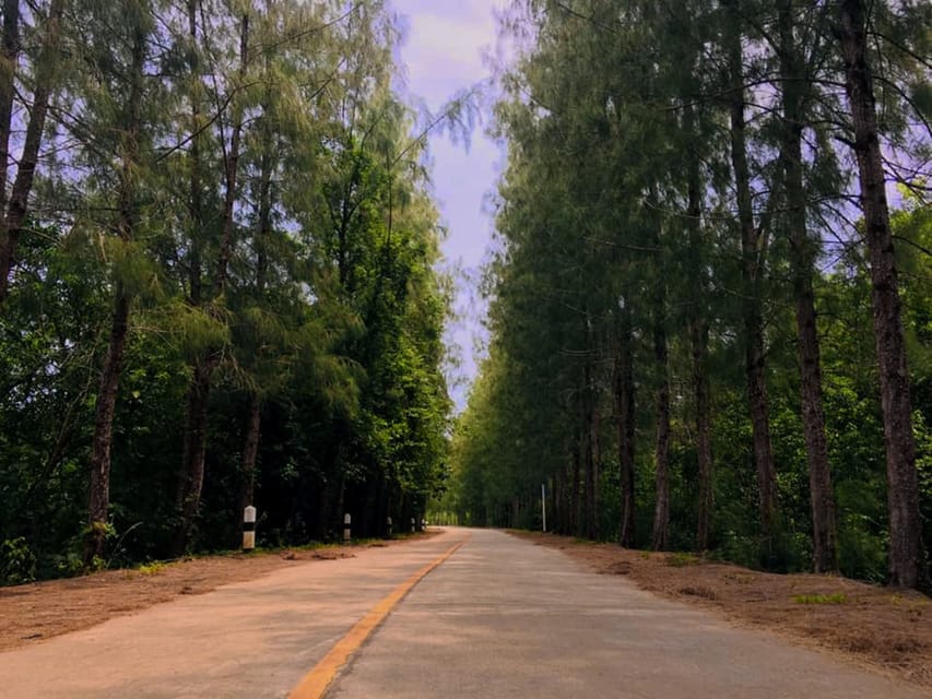 Koh Yao Noi: The Local Way of Life Eco Half-Day Tour | GetYourGuide