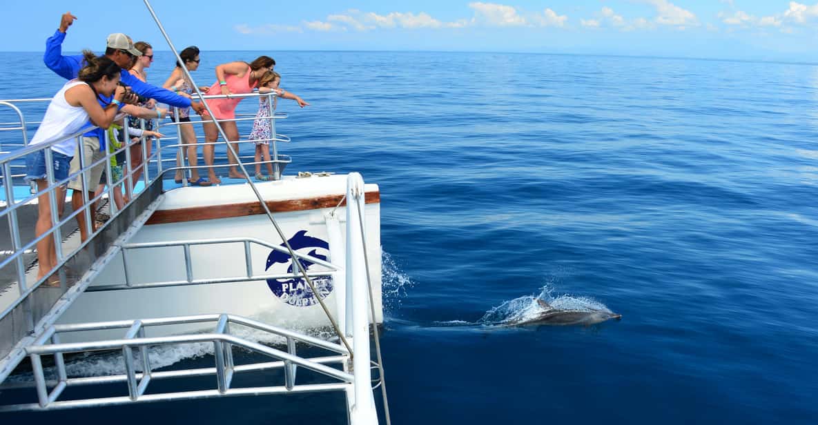 All-Inclusive Catamaran Eco Adventure with Lunch | GetYourGuide