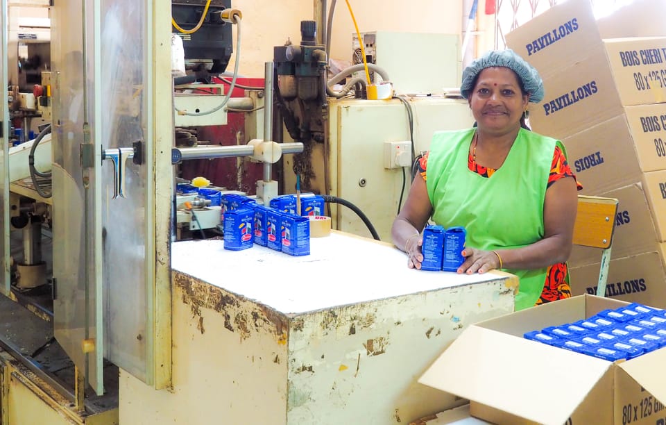 モーリシャス：Bois Cheri、Saint Aubin、La Vanille 自然公園 | GetYourGuide