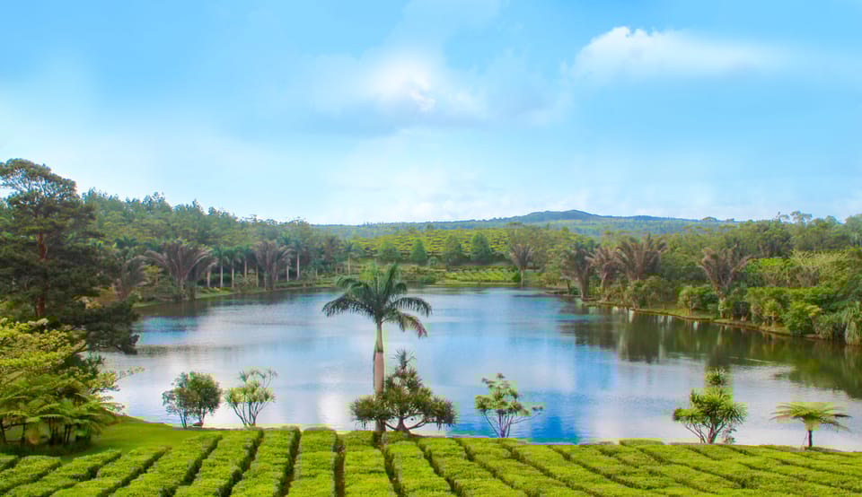 モーリシャス：Bois Cheri、Saint Aubin、La Vanille 自然公園 | GetYourGuide