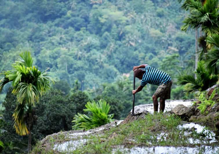 From Kandy: Private Guided Hike to Heeloya | GetYourGuide