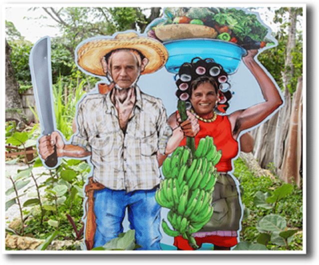 Zona rural de República Dominicana: tour de medio día | GetYourGuide