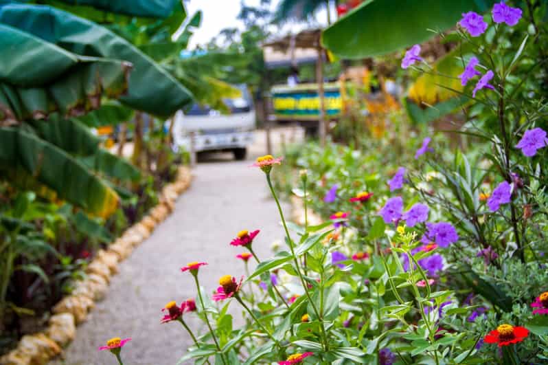 Zona rural de República Dominicana: tour de medio día | GetYourGuide