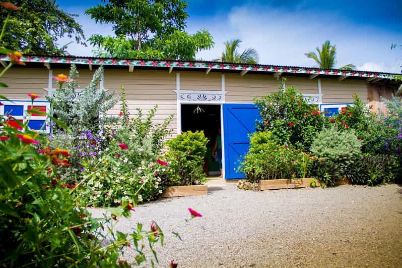 Zona rural de República Dominicana: tour de medio día | GetYourGuide